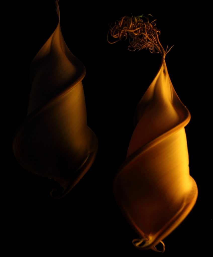 BB19 Haieier Holger Hackenjos 1 | Holger Hackenjos ...